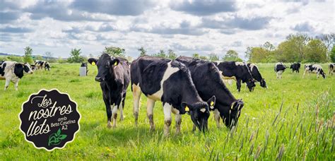 Granja Armengol Nosaltres