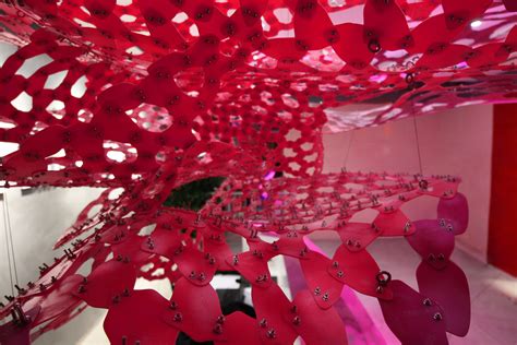 Architectural Installations Based On Algorithmic Simulations Of Cellular Growth Evolo