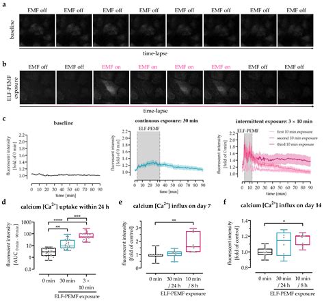 Fluo 8® Am Aat Bioquest