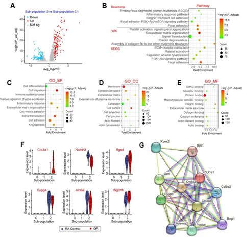 Single Cell Profile Reveals The Unique Gene Expression In Pericyte