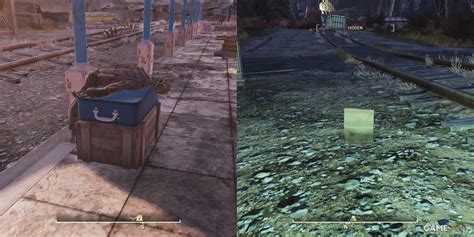 Fallout 76 All Stingwing Locations