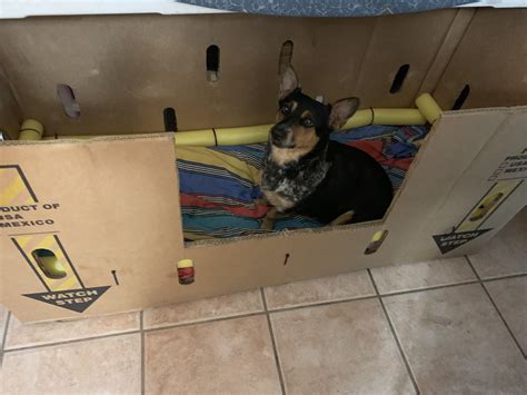 Whelping Box Plans Artofit