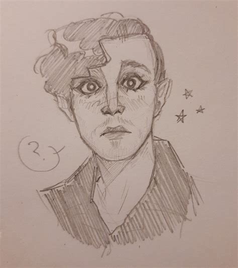 Lichen Coated Boulder On Tumblr