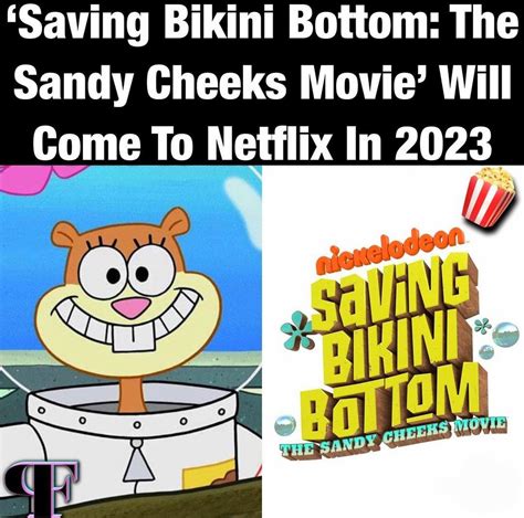 Meme Di Spongebob Sandy Sandy Cheeks Is Getting Her Own Movie