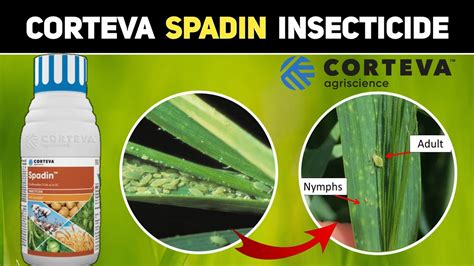 Corteva Spadin Insecticide Corteva New Insecticide Spadin