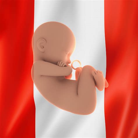 Perú Reconoce Los Derechos Del Concebido Antes De Nacer En Una Nueva