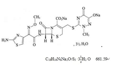 每天学西药—— 头孢曲松钠杆菌属