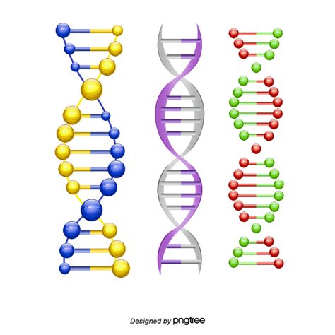 Semăn Cu Bunicul Dar Sunt Unic Poveste Despre Ereditate Curiozitate