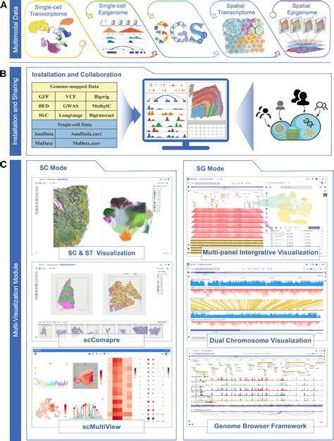 Empowering Integrative And Collaborative Exploration Of Single Cell And
