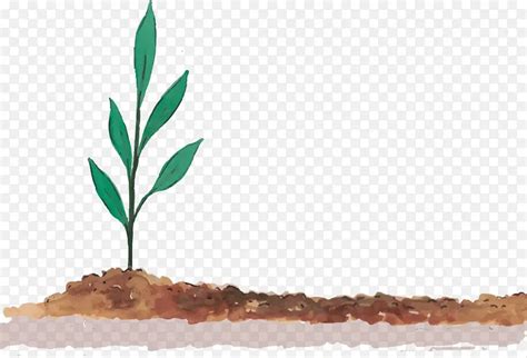 矢量手绘希望png图片素材下载图片编号ylwmkbvq 免抠素材网