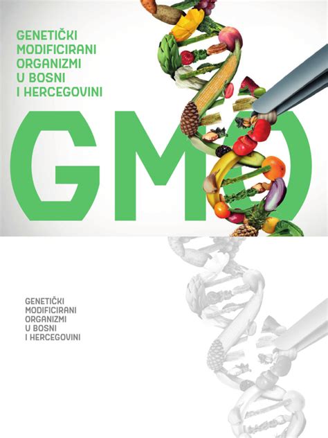 Bs Gmo Book Pdf
