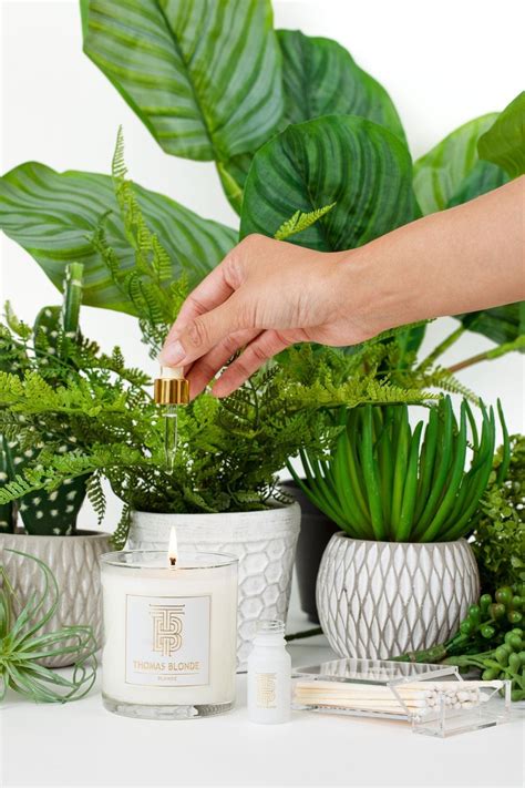 Essential Volumizing Oil Thomas Blonde