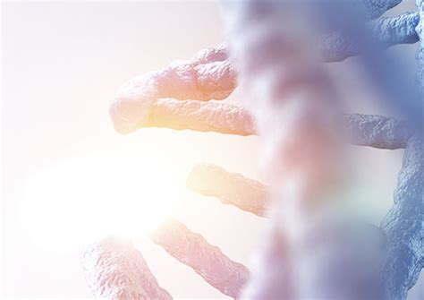 Shuttle Pharma Plans 10 Million Acquisition Of Ai Startup Moleculeai