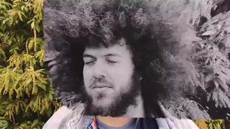 Listenup Ripe Noise In The Forest Album On Imgur