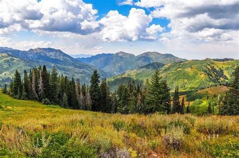 14 Amazing Things To Do In Summer In Park City Utah Territory Supply