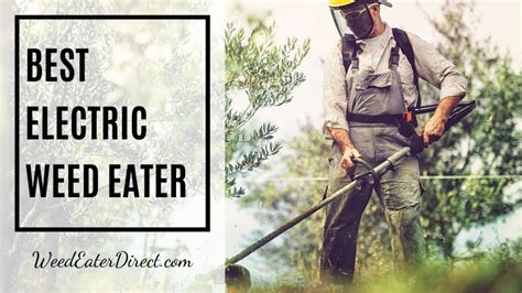 The Best Electric Weed Eater Of 2019 Do Not Buy Before Reading This