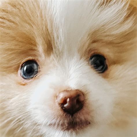 Bentley Benjamin Button Youtube