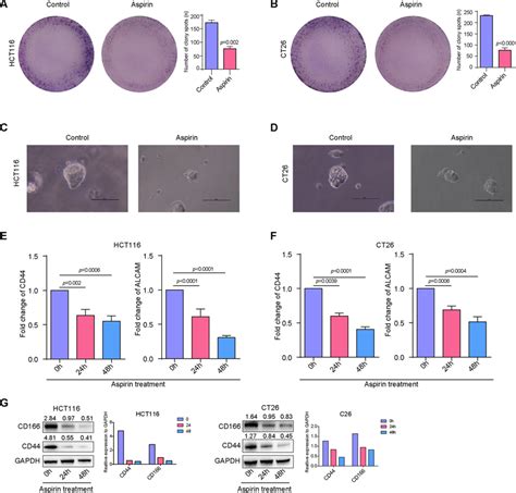 Aspirin Inhibited The Stemness Of Colorectal Cancer Cells Ab Cell Download Scientific Diagram