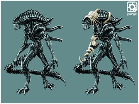 Xenomorph Concept Sketches