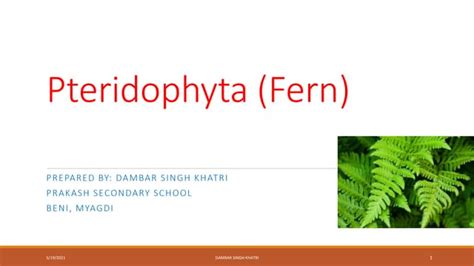 Pollinationclass 12 Biology Pptx Pollinationclass 12 Biology Pptx