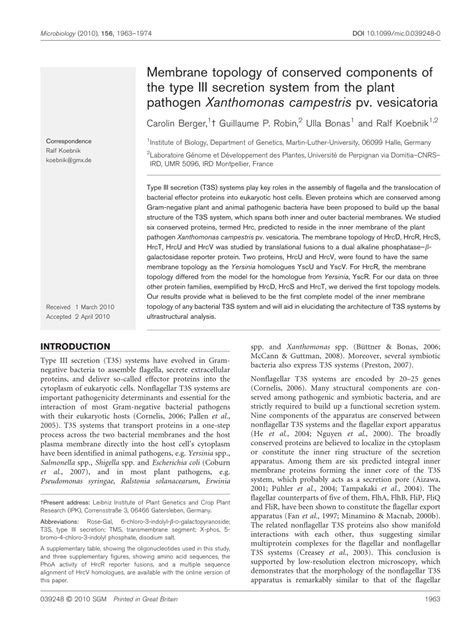 Pdf Membrane Topology Of Conserved Components Of The Type Iii Secretion System From The Plant