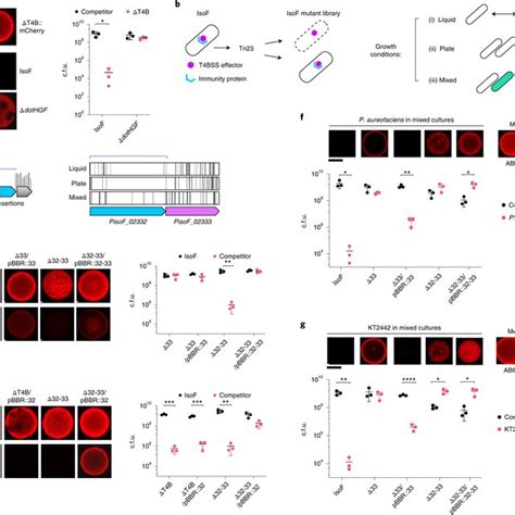 Leo Eberl Head Of Department Prof University Of Zurich Zürich Uzh Institut Für