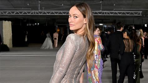 Olivia Wilde See Through