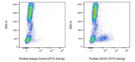 Purified Mouse Anti Human Cd161