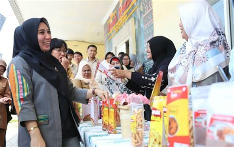 Sofha Marwah Minta Umkm Tetap Disubsidi Pluzid