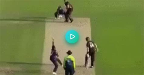 An Amazing Catch On Imgur An Amazing Catch On Imgur