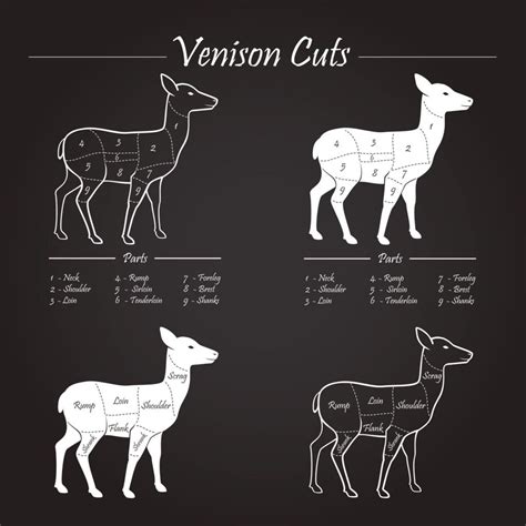 Venison Cuts Chart A Complete Guide To Deer Meat Cuts And How To Use Them