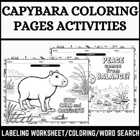 Capybara Labeling Anatomy Parts Of A Capybara Diagram Word Search