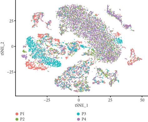 The Single Cell Rna Sequencing Analysis Identifies Nk Cell Marker