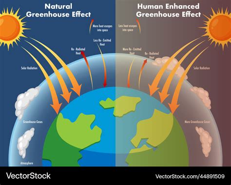 Diagram Showing The Greenhouse Effect Royalty Free Vector