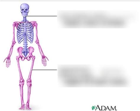Introduction And Systems Diagram Quizlet