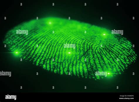 D Illustration Fingerprint Scanning Identification System Fingerprint Scan Provides Security