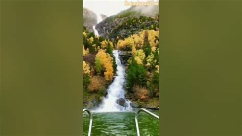 🥇سایت داداش رضا🥇 Youtube