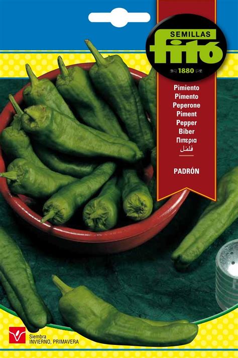Fito Pepper Padron The Garden Centre