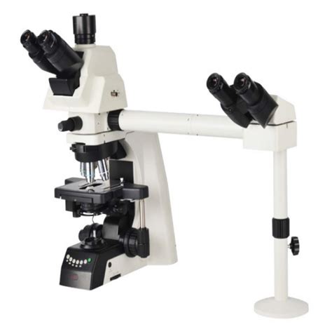 Bs 2081mh4b Multi Head Microscope