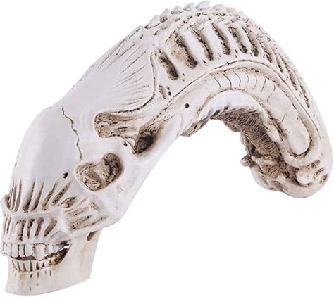 Xenomorph Skull Replica Alien Romulus Accessory Set From Neca
