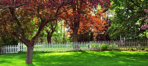 Understanding How Tree Cabling Can Benefit Your Trees