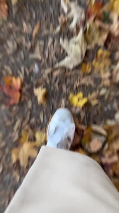 Sensi Labs On Linkedin Sensilabs Autumnvibes Teamactivities