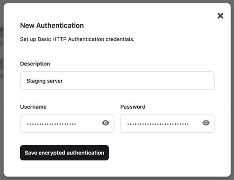Basic Authentication Rocket Validator Documentation
