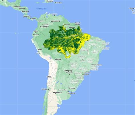 Amazon Deforestation Mapped Warning As Area 4x Size Of Glasgow