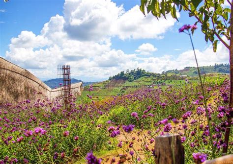 Doi Mon Cham In Chiangmai Province Stock Image Image Of Leaf Cloud