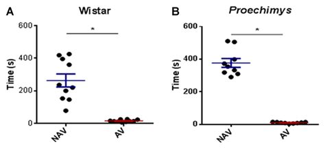 Training Session In The Plus Maze Discriminative Avoidance Time Spent Download Scientific