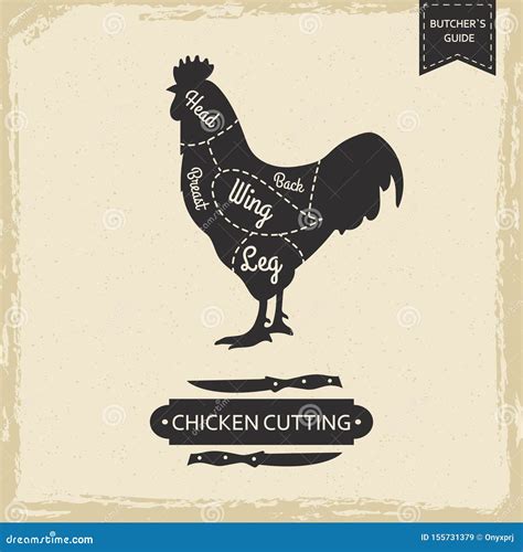 Chicken Cutting Scheme Craft Vector Illustration