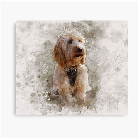 Cockapoo Merch And Ts For Sale Redbubble