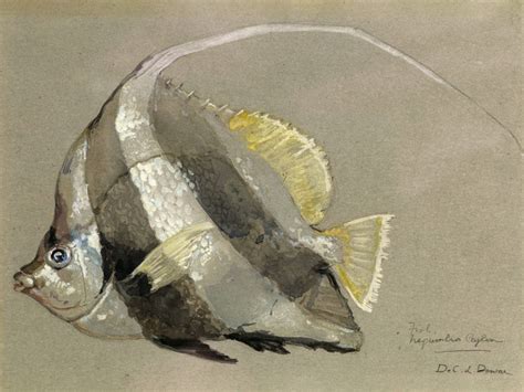 Morris Talwin Aegis Education