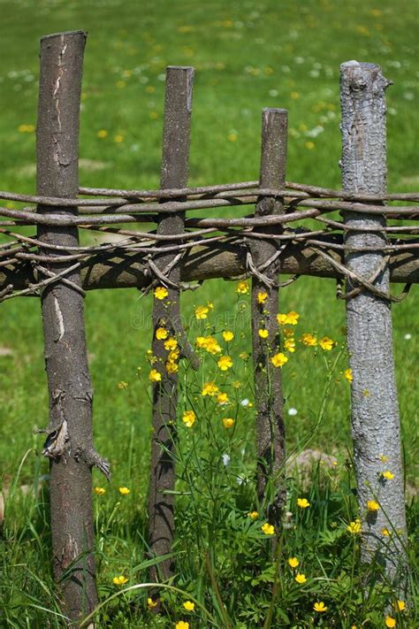 Gammalt Lantligt Staket Arkivfoto Bild Av Gräs Bygd 28035732